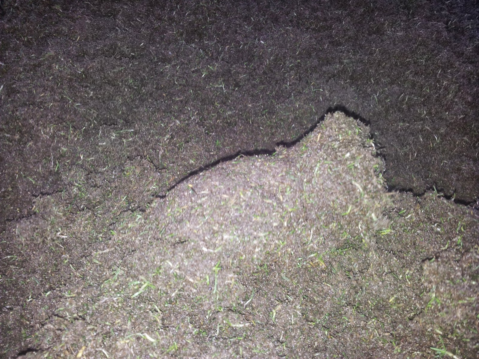 Bolton Old Links Golf Club: Scarifying Greens