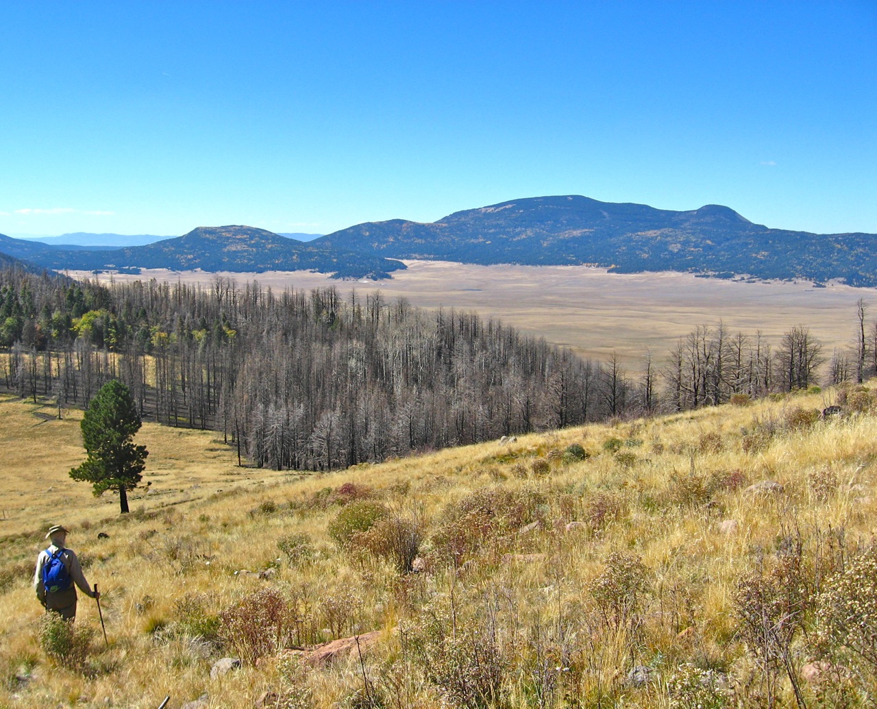 Valles Caldera Rim
