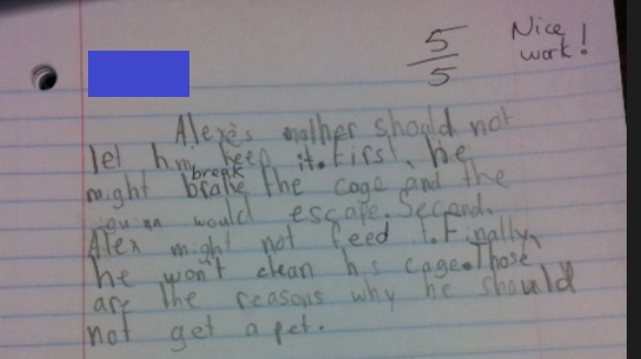 An Apple For The Teacher: I Wanna Iguana - Lessons in Opinion ...