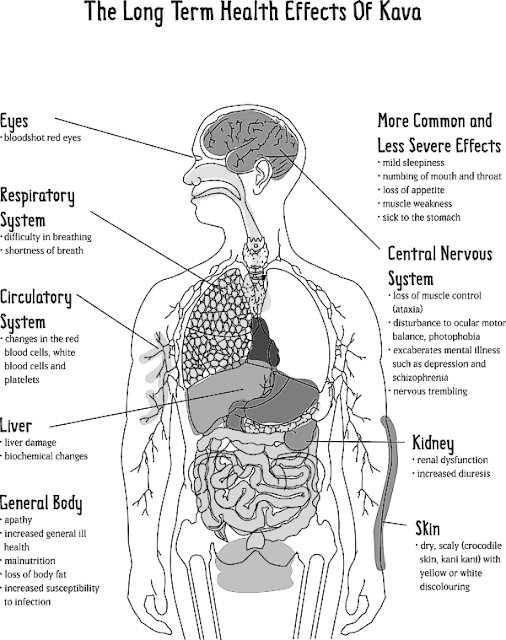 Hannah in Fiji: Kava..grog..what?