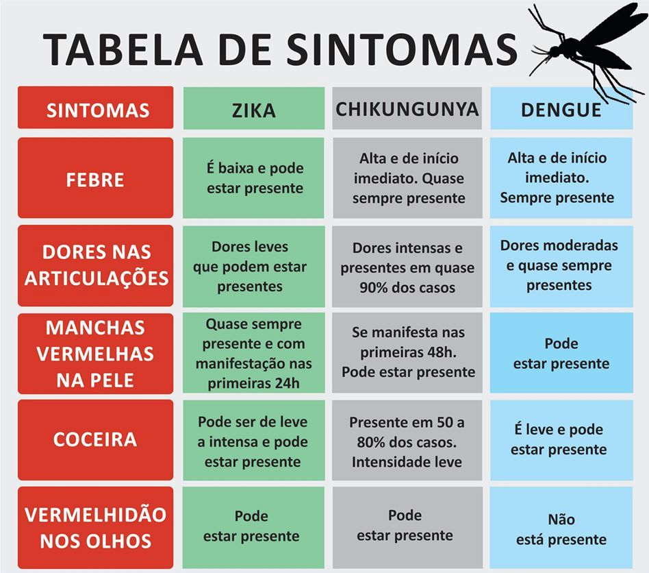 Existe Quantos Tipos De Dengue - FDPLEARN
