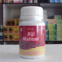 Public Health Information: Mahoni dan Segala Khasiatnya Bagi Kesehatan