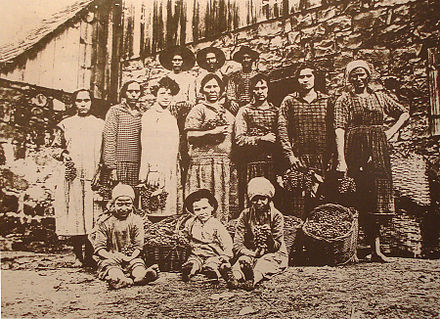 A História dos imigrantes italianos no Brasil