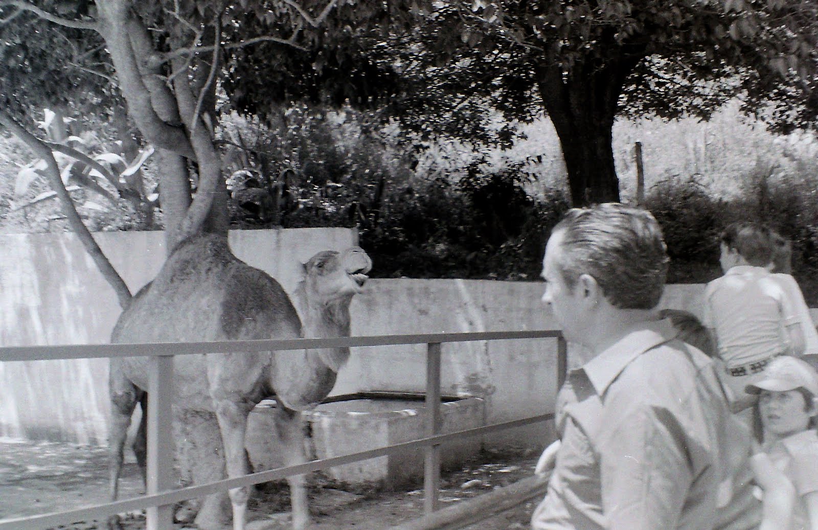 Murre, tanrre, querre: 24. Excursión al zoo de Fuengirola