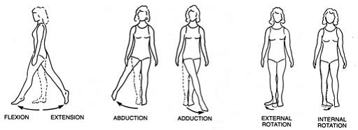 ACTIVIDAD FÍSICA PARA TODOS LOS GRUPOS ETARIOS
