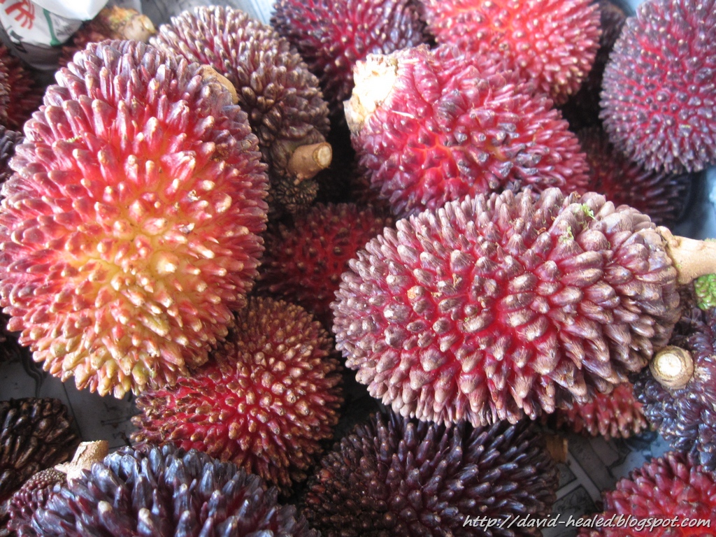 David's Bone Marrow Transplant - Jesus Heals: Day +2033 : Pulasan from ...