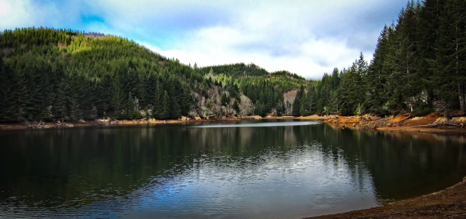 Thom Zehrfeld Photography : Olalla Lake