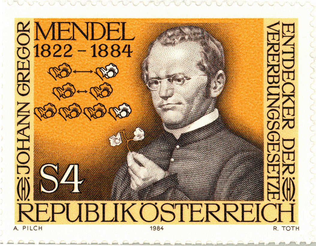 BiodiversityNews: !Feliz Cumpleaños Gregor Mendel, padre de la genética¡
