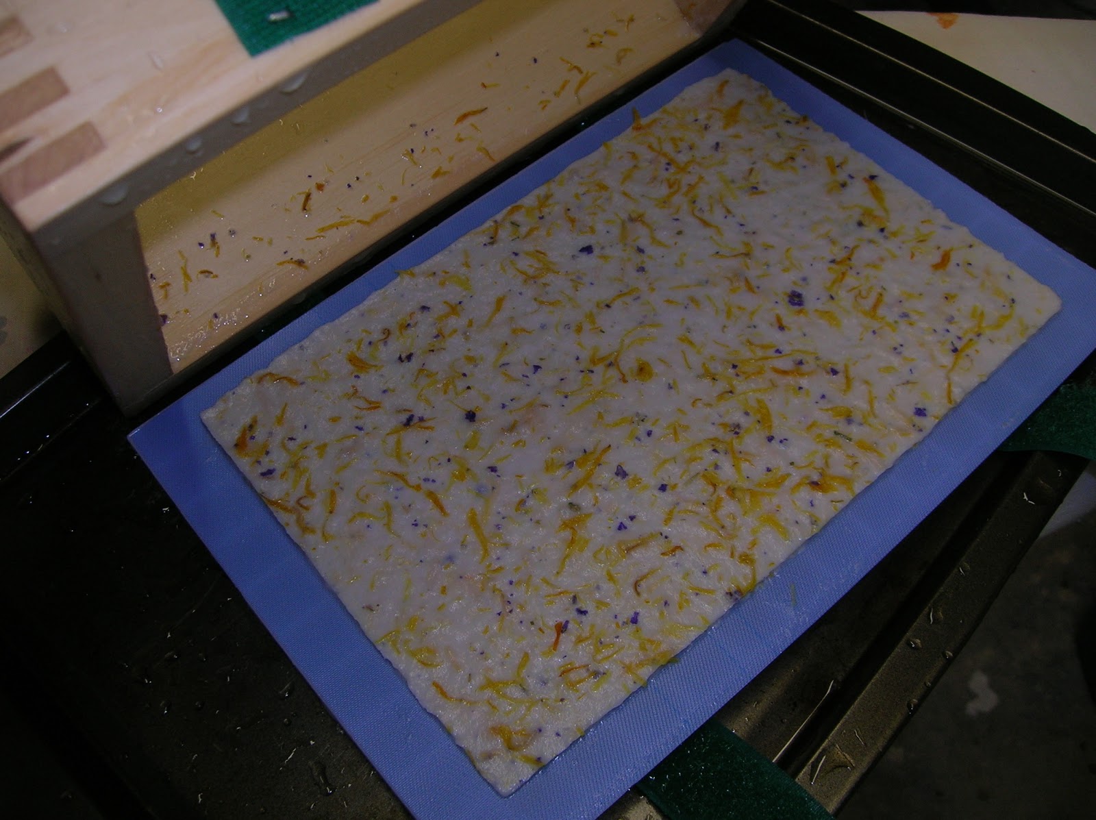 My Creative Mommy: Making Paper Is Fun And Easy!