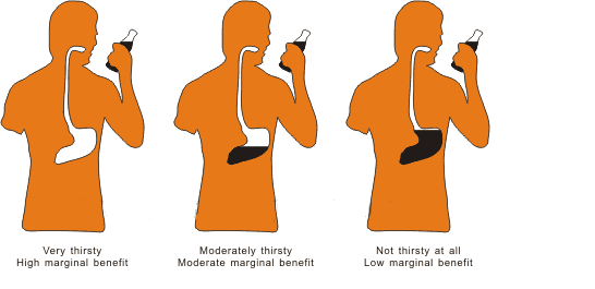 Law Of Diminishing Marginal Utility Example