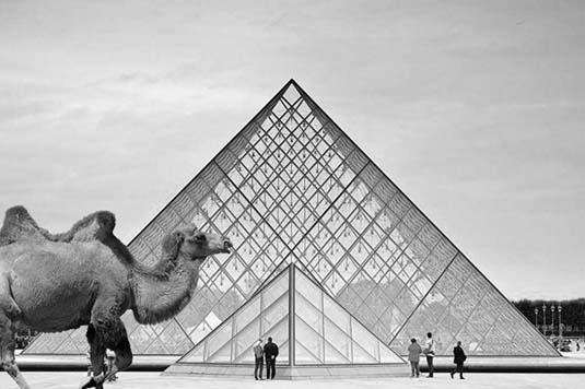 éva works©2011: fine art / bucolic architecture