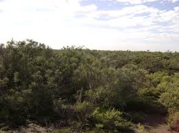 Ciencias Naturales Quinto Grado: Los ecosistemas