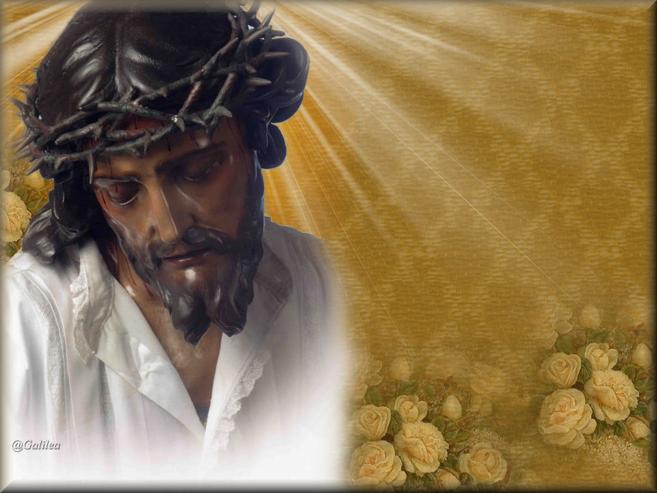 Jesús el Tesoro Escondido: HUMILDAD Y ESPÍRITU DE SERVICIO