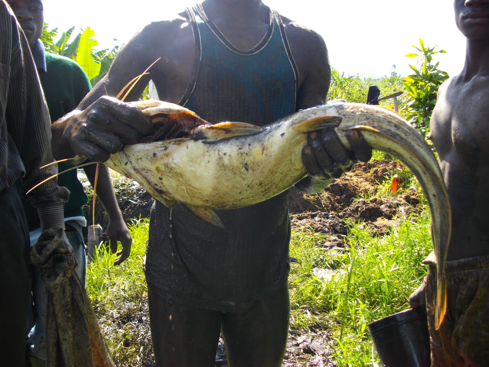 KAGERA DEVELOPMENT AND CREDIT REVOLVING FUND(KADETFU)WATEMBELEA MABWAWA ...