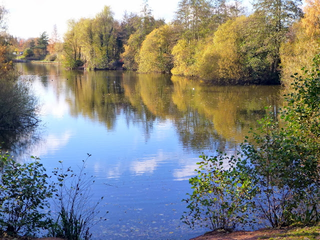 A Place Called Space: Ryton Pools Country Park