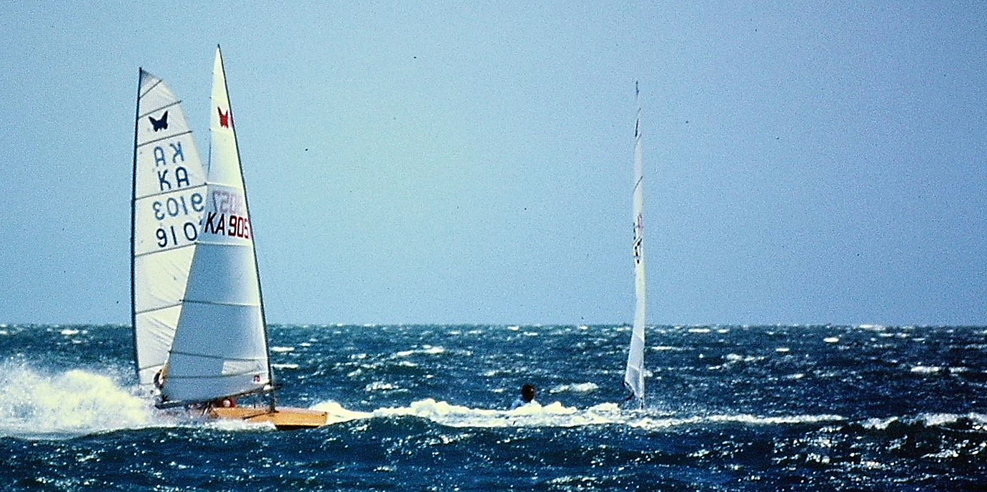 Earwigoagin: Header Photos: Scow Moth, Largs Bay 1986