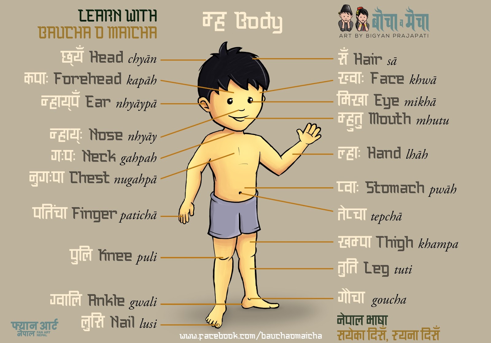 BhajuMayaju: 2. म्ह - Body - Learn Nepal Bhasa