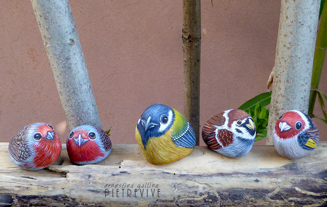 Sassi a p-arte: Uccellini