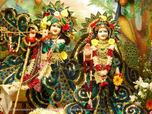 wallpaper: krishan ji snap