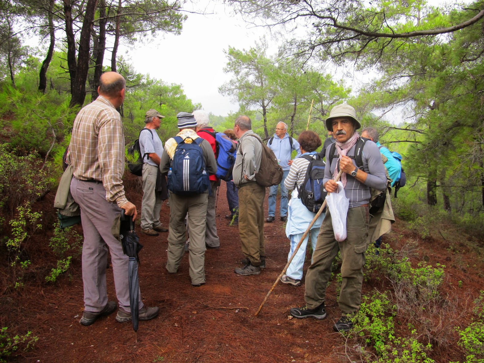 Cittaslow Botanik Park: ÇATALCA ( Segen ) - BALABAN GÖLETİ DOĞA YÜRÜYÜŞÜ