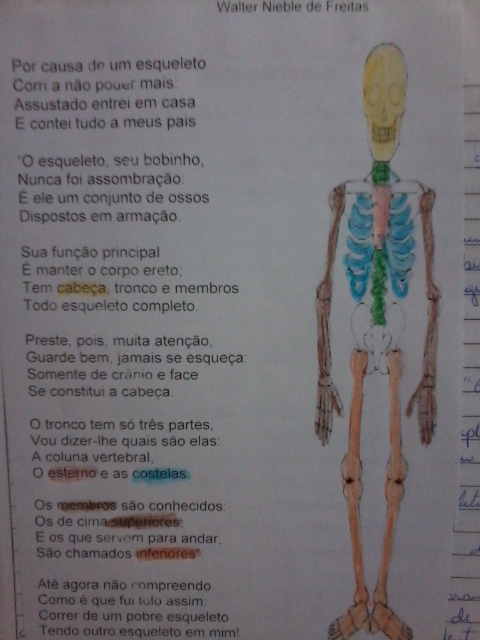 JUKITAMALUKA: O Esqueleto