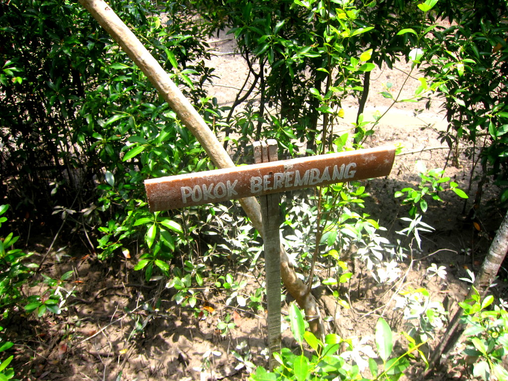 Travelholic: Sijangkang | Selangor's Natural and Intangible Wonders