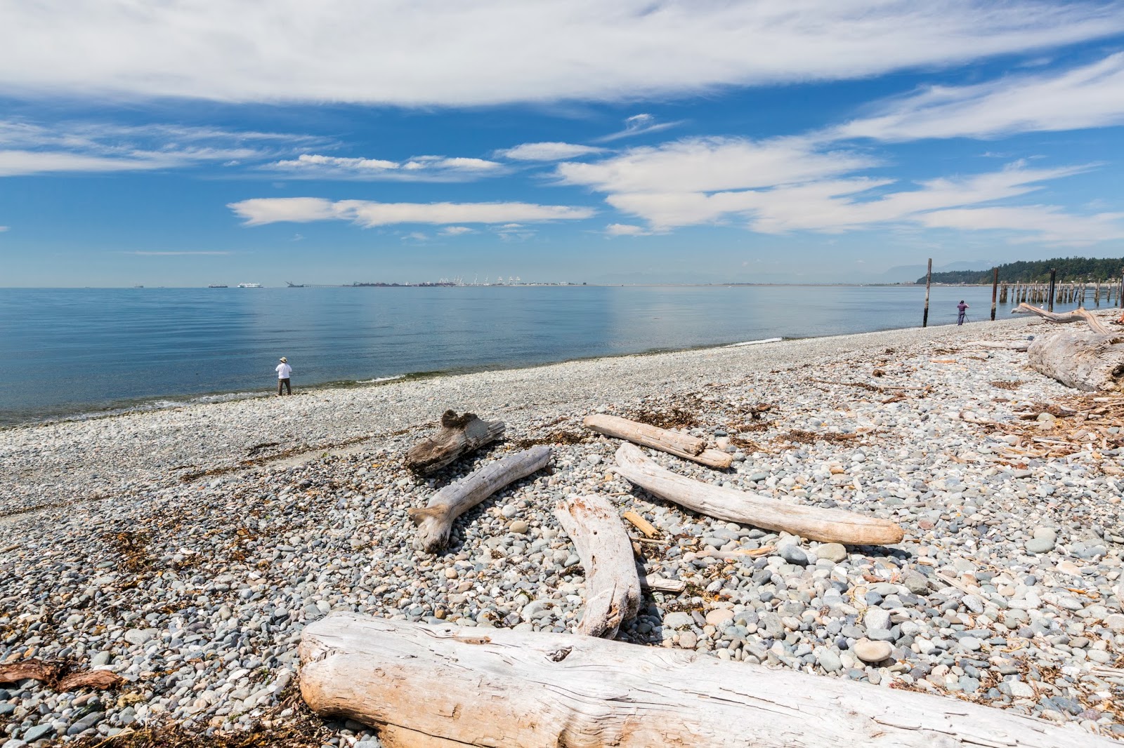 Naturetastic Blog: Point Roberts, WA and Richmond, BC (Part 2)