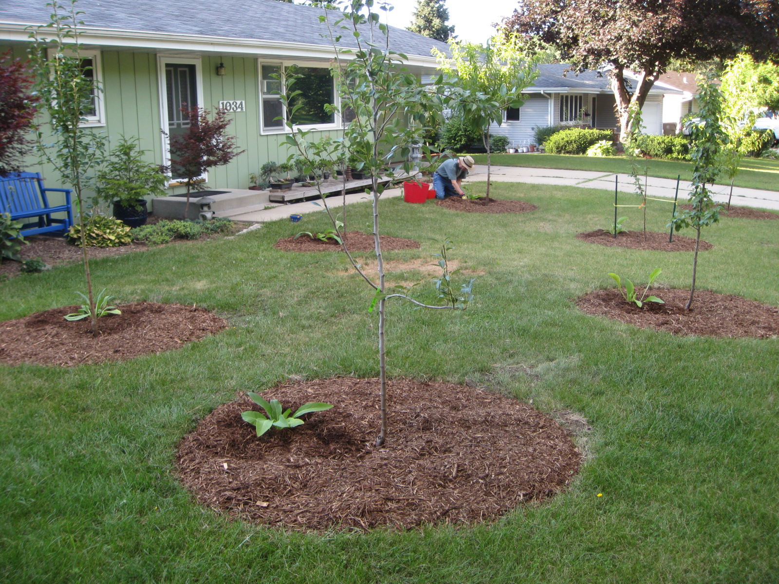 Red Bucket Farm: Underplanting the Orchard