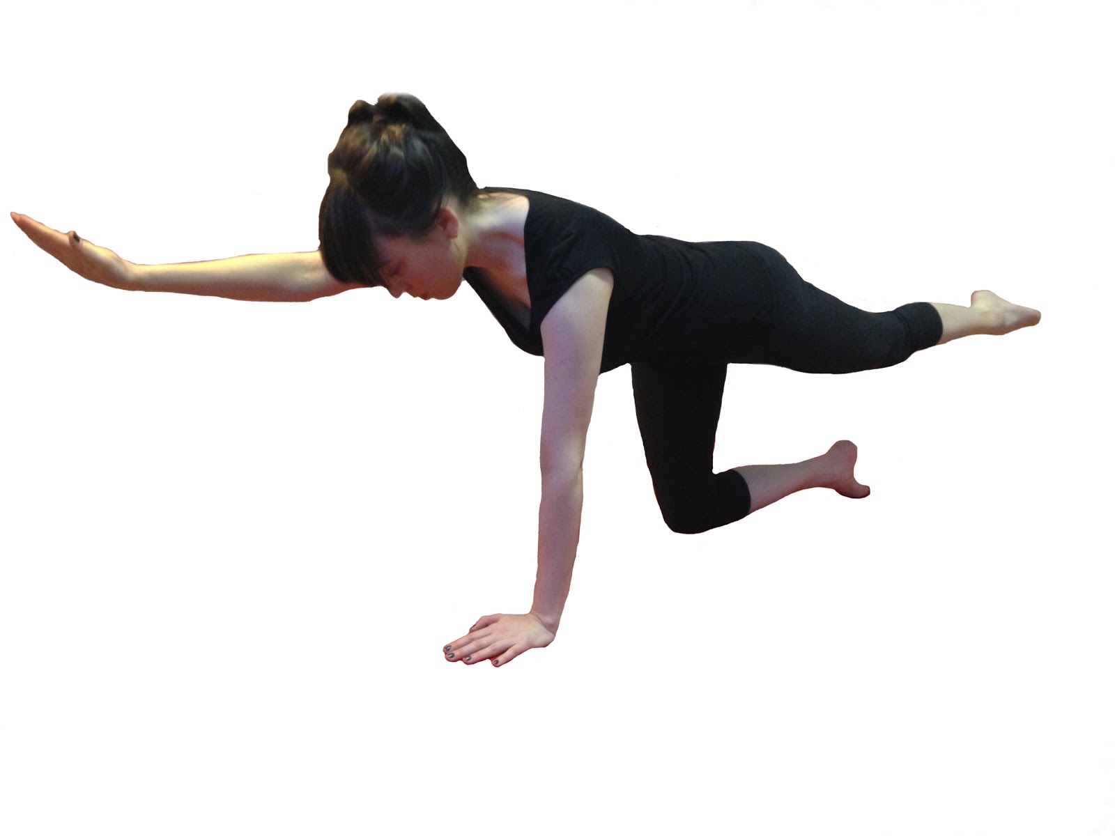 Exercise of the Day: Day 251- Quadruped: Contralateral