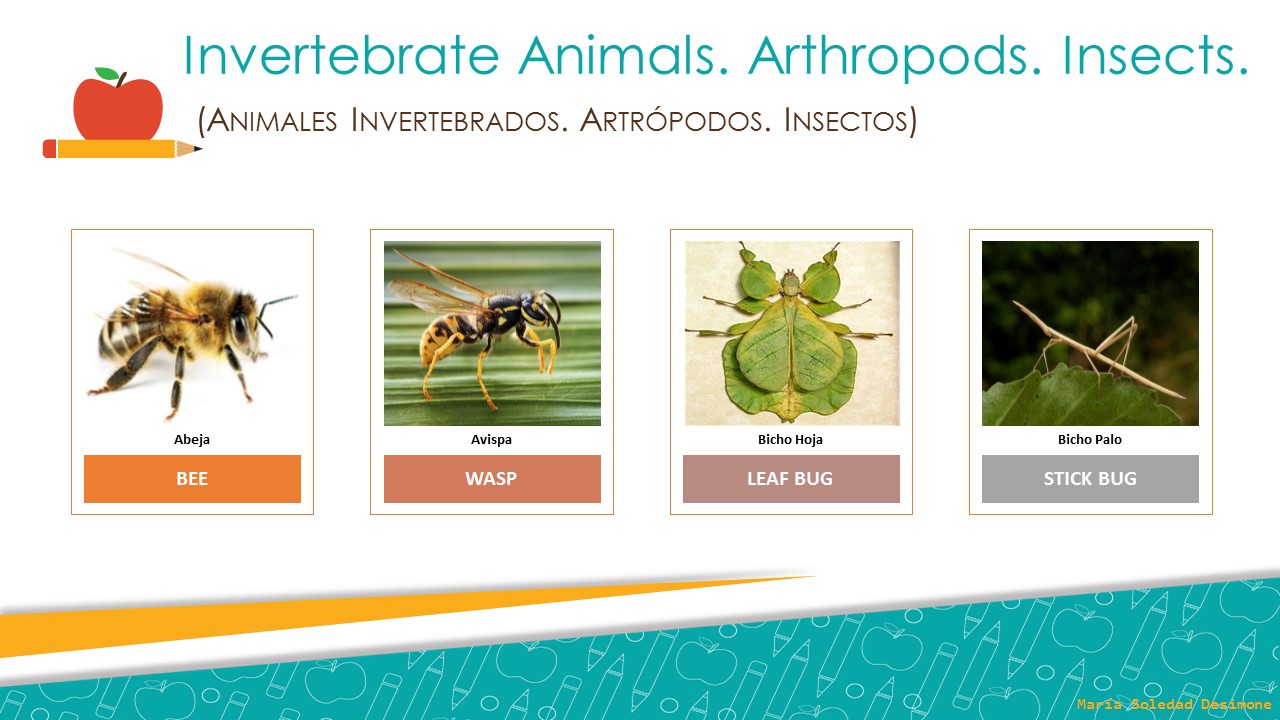 Cultura y TIC: INGLÉS. VOCABULARY. INVERTEBRATE ANIMALS (ANIMALES ...