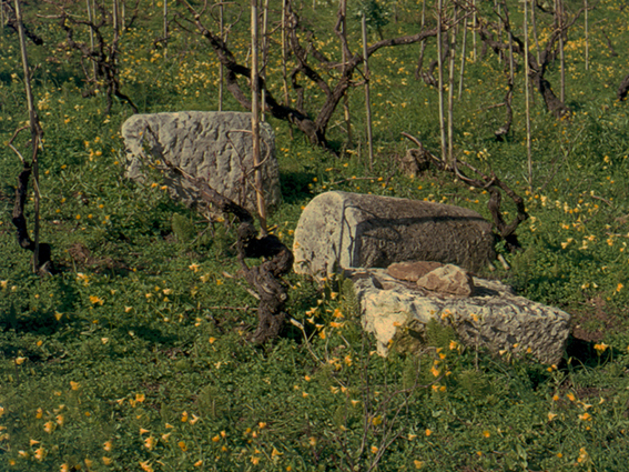PALÁCIO DAS VARANDAS: Dois excertos