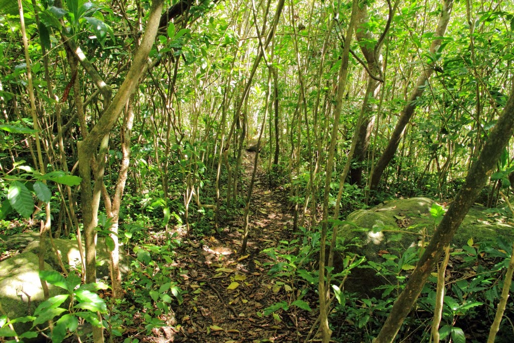 Have Camera, Will Travel.: Maui and Haleakala National Park