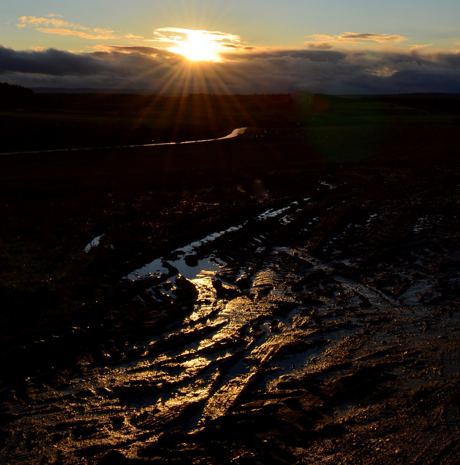 Tour Scotland: Tour Scotland Sunset Blairgowrie Perthshire December 3rd