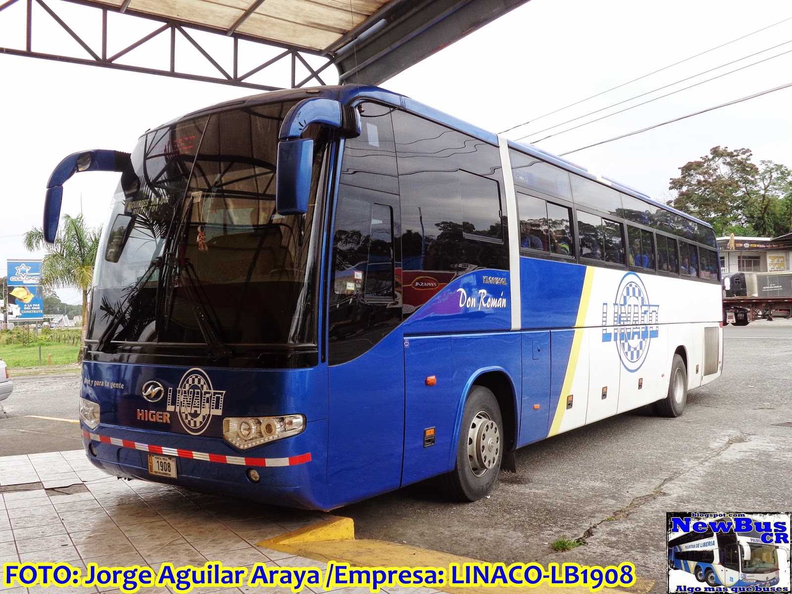 Más que buses: Buses del Caribe, gran variedad en una sola Provincia.