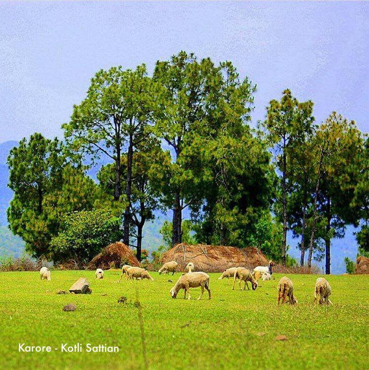 KOTLI SATTIAN: KARORE VALLEY, KOTLI SATTIAN, RAWALPINDI