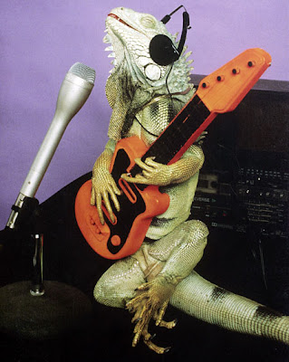 The most interesting lizard in the world : r/funny