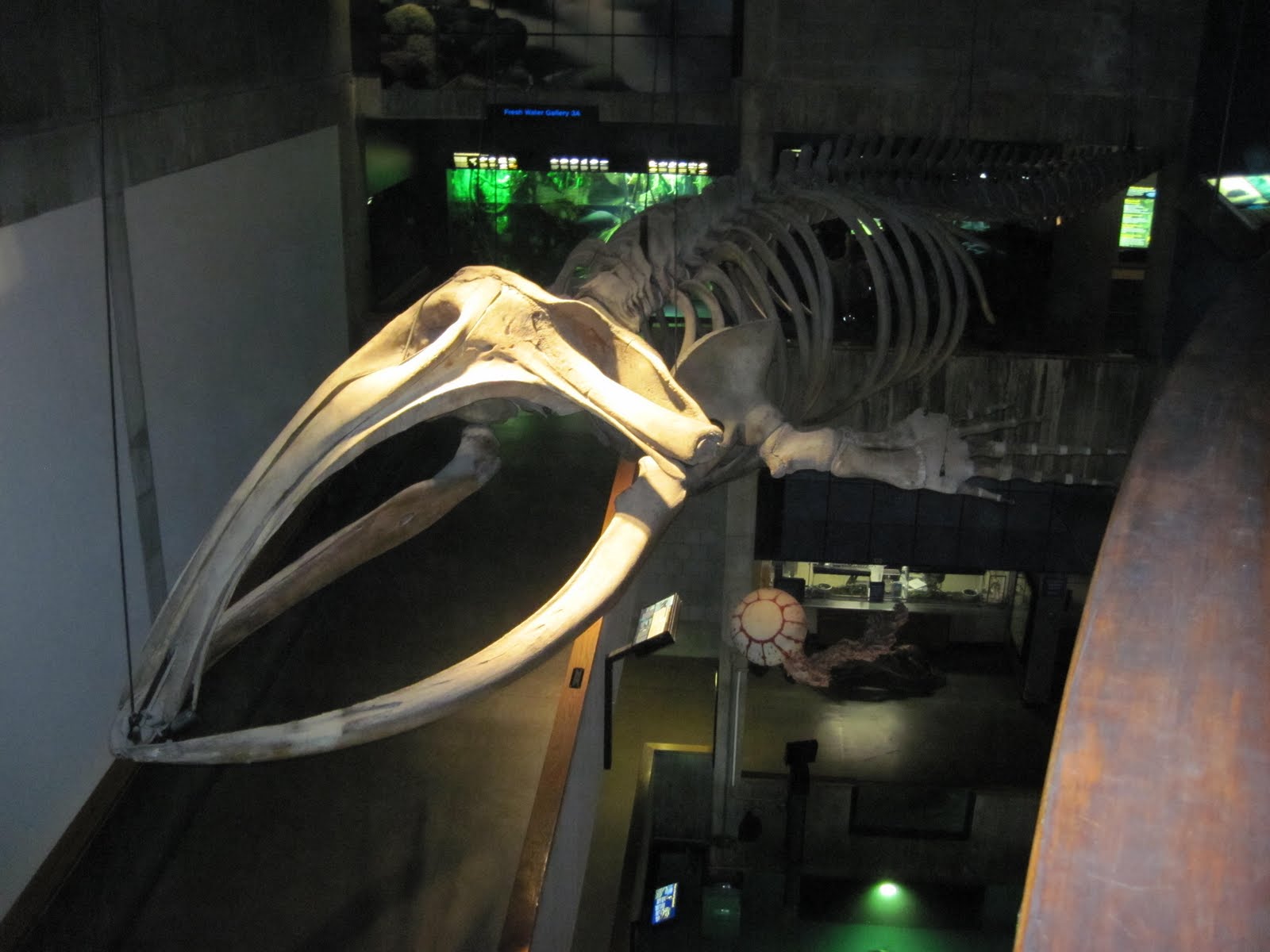 Exhibit Galleries Blog