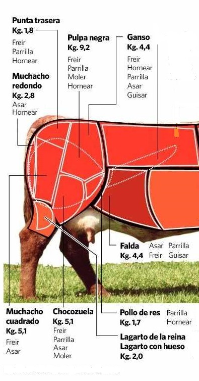 CORTES DE CARNE BOVINA .... Y ALGO MÁS