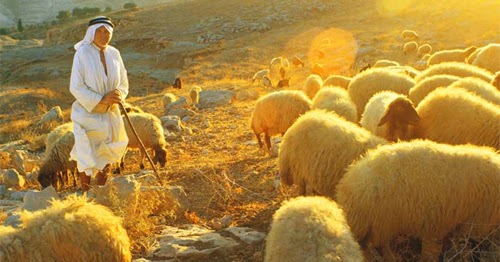 Pastorado - Equilíbrio e prevenção (4)