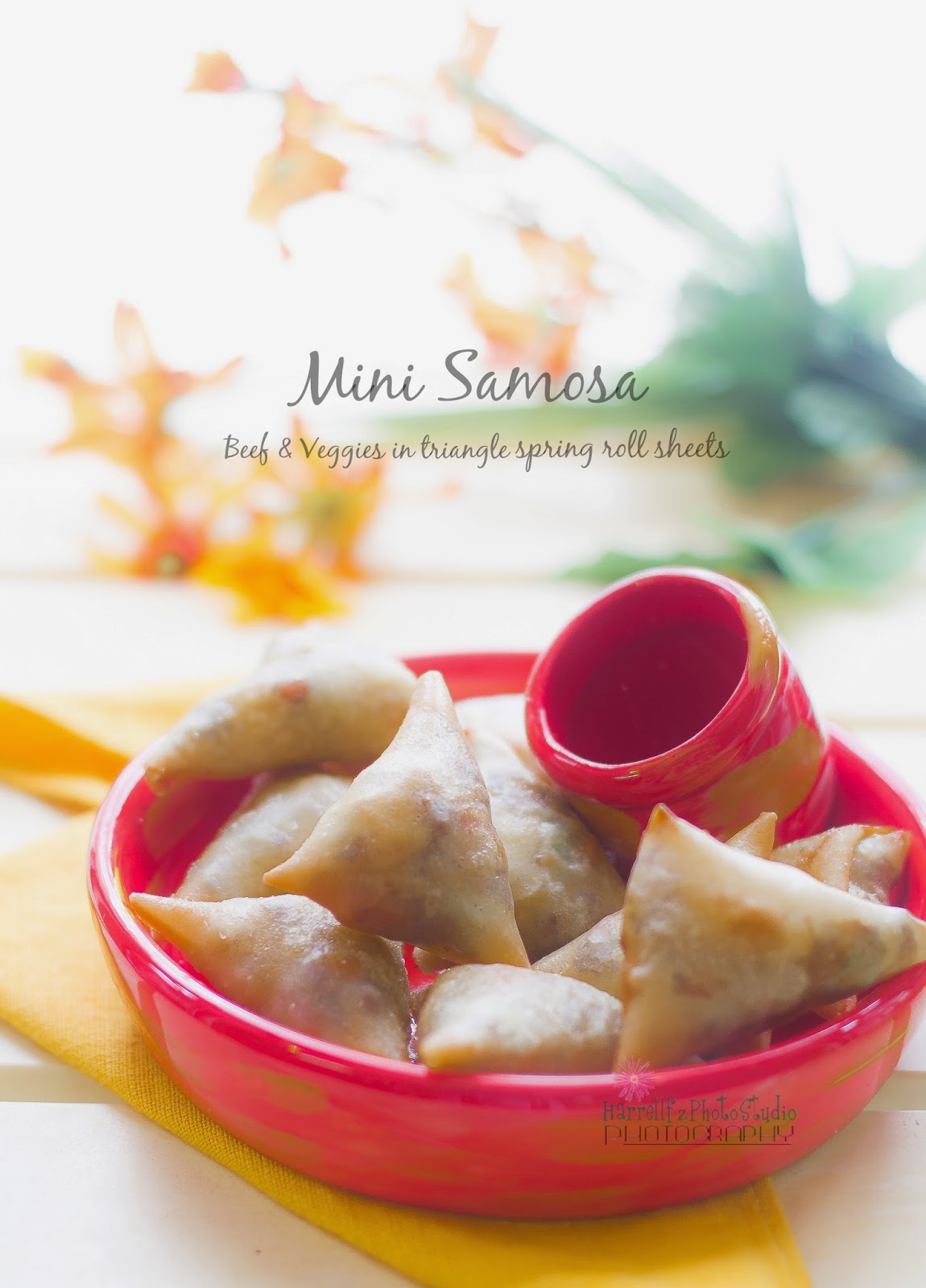 fla-kitchen: Mini Samosa with Spring Roll Sheets