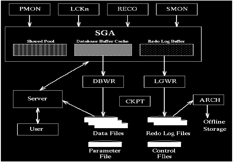 Role Of Database Administrator Oracle Architecture And Terminology
