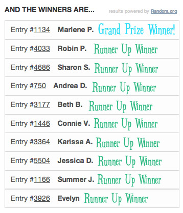 Spring Cleaning Giveaway Winners | i should be mopping the floor
