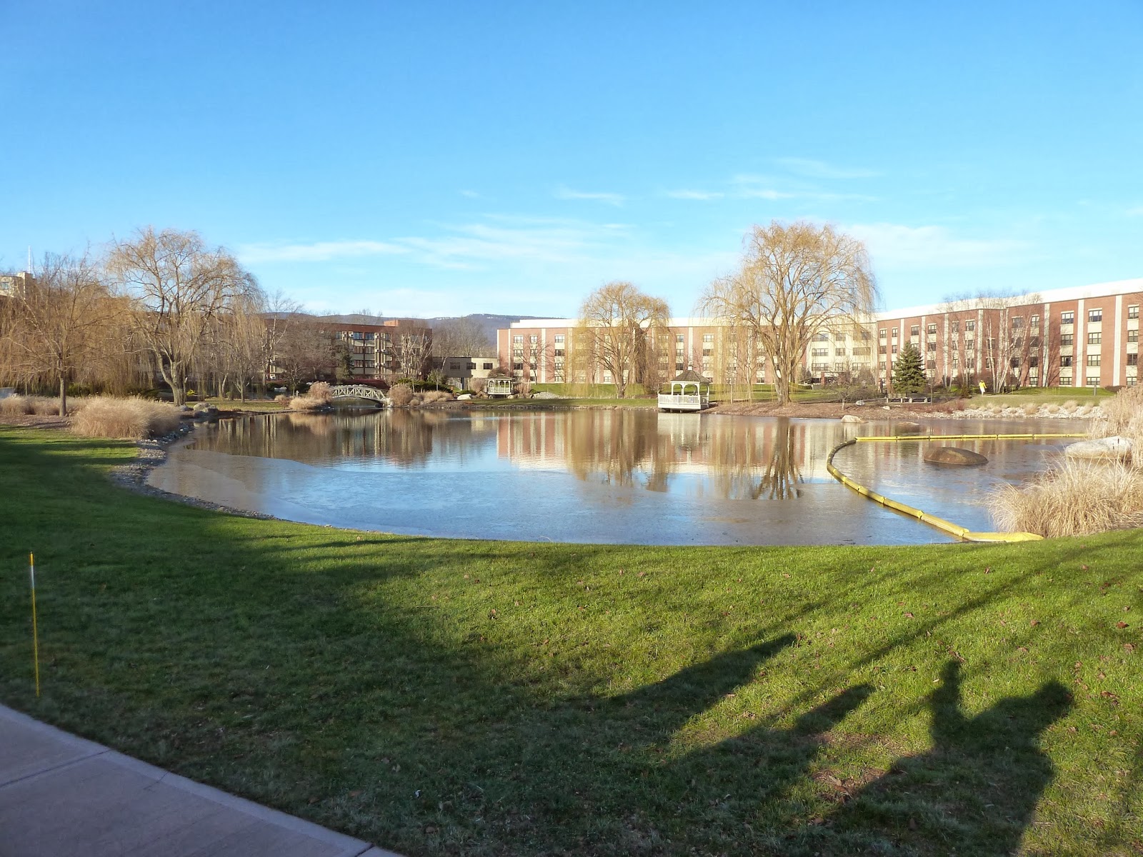 Up to Lately: New York Visit