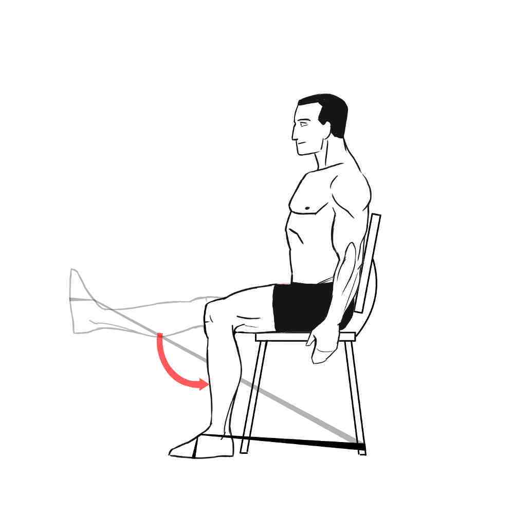 Hip or Knee Osteoarthritis (OA) Exercises | PT-Helper