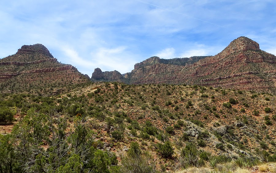 Hiking in the White Mountains: Grand Canyon: Horseshoe Mesa