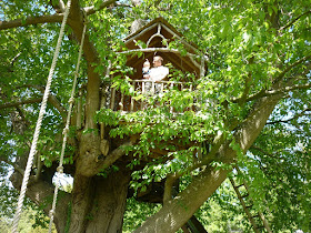 An English Homestead: Amazing Tree House