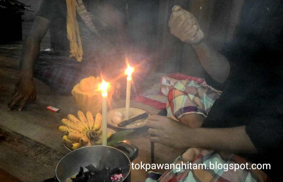 Pawang Hitam 010-8921592: 23/11/2016 SANTAU..