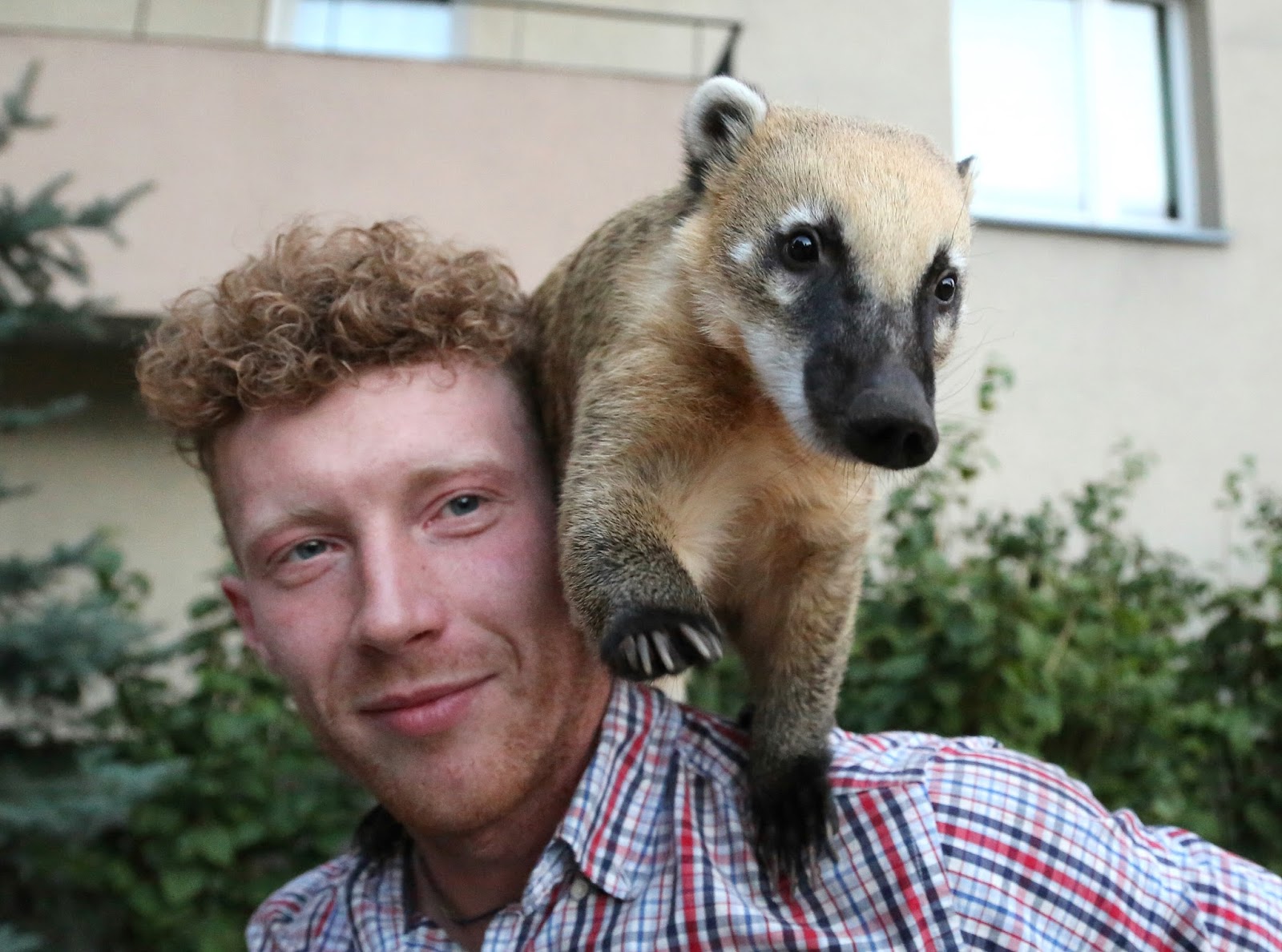 Mitoslavia: 03/15/17