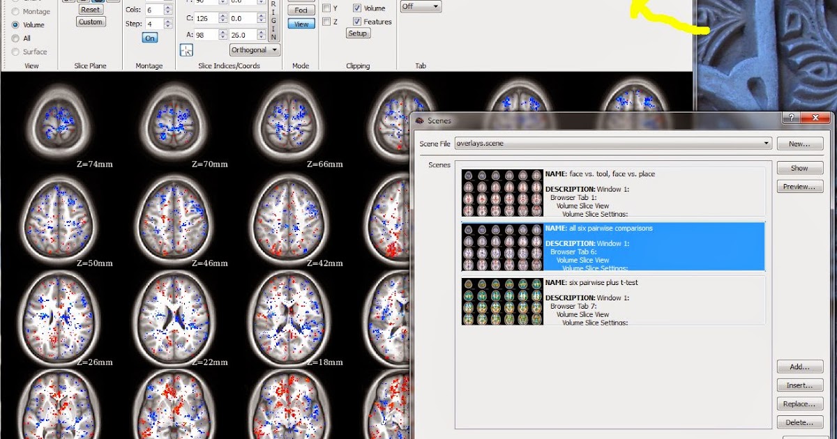 MVPA Meanderings: Connectome Workbench: 1st Steps