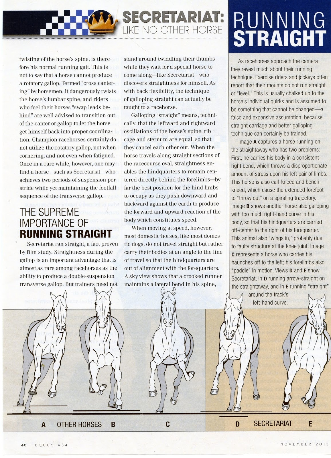 Fox Hollow Sport Horses: Conformation of Secretariat